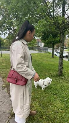 Paseadora de perros - Karen sofia - Gudog