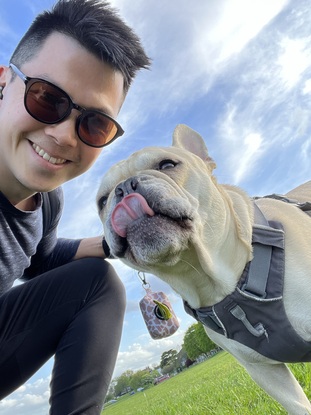 Nicholas - Experienced Dog Sitter Service in Hatfield from £24 - Gudog