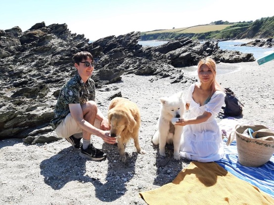 Alexander & Wing - Experienced Dog Sitter Service in London from £20 ...