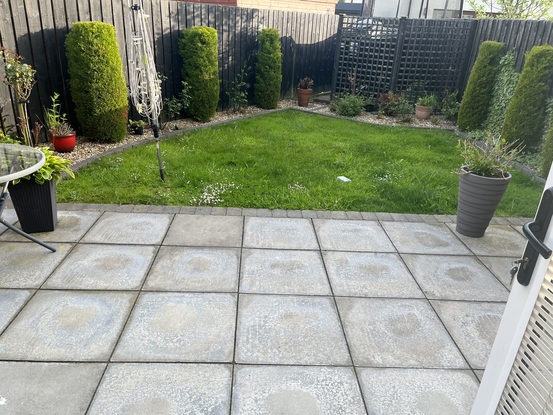 Caroline - Experienced Dog Sitter Service in Portadown from £10 - Gudog