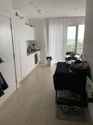 Milena - Experienced Dog Sitter Service in London from £40 - Gudog
