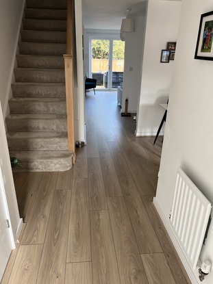 Harriet - Experienced Dog Sitter Service in Worksop from £10 - Gudog