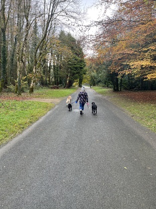 “Where dogs feel at home, loved & free to roam” - Cara - Gudog