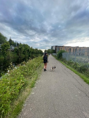 Walking, playing, loving—your dog's second home. - Amanda - Gudog