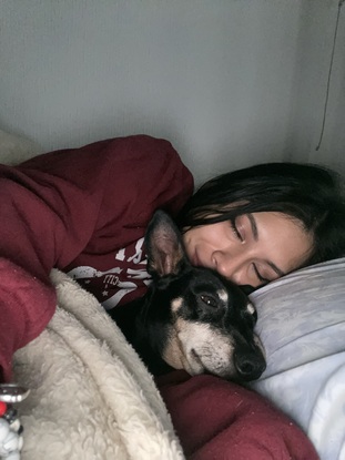 Cuidadora de perros y gatos - Claudia - Gudog