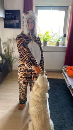 Hundebetreuung mit Herz in Wiesbaden - Cora - Gudog